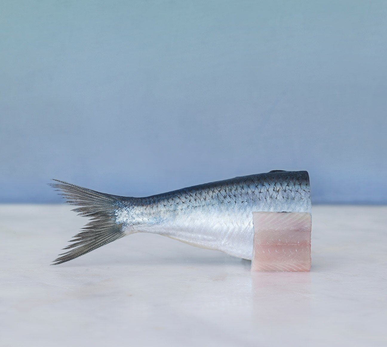 Sill | Sjömat från Norge | Seafood from Norway